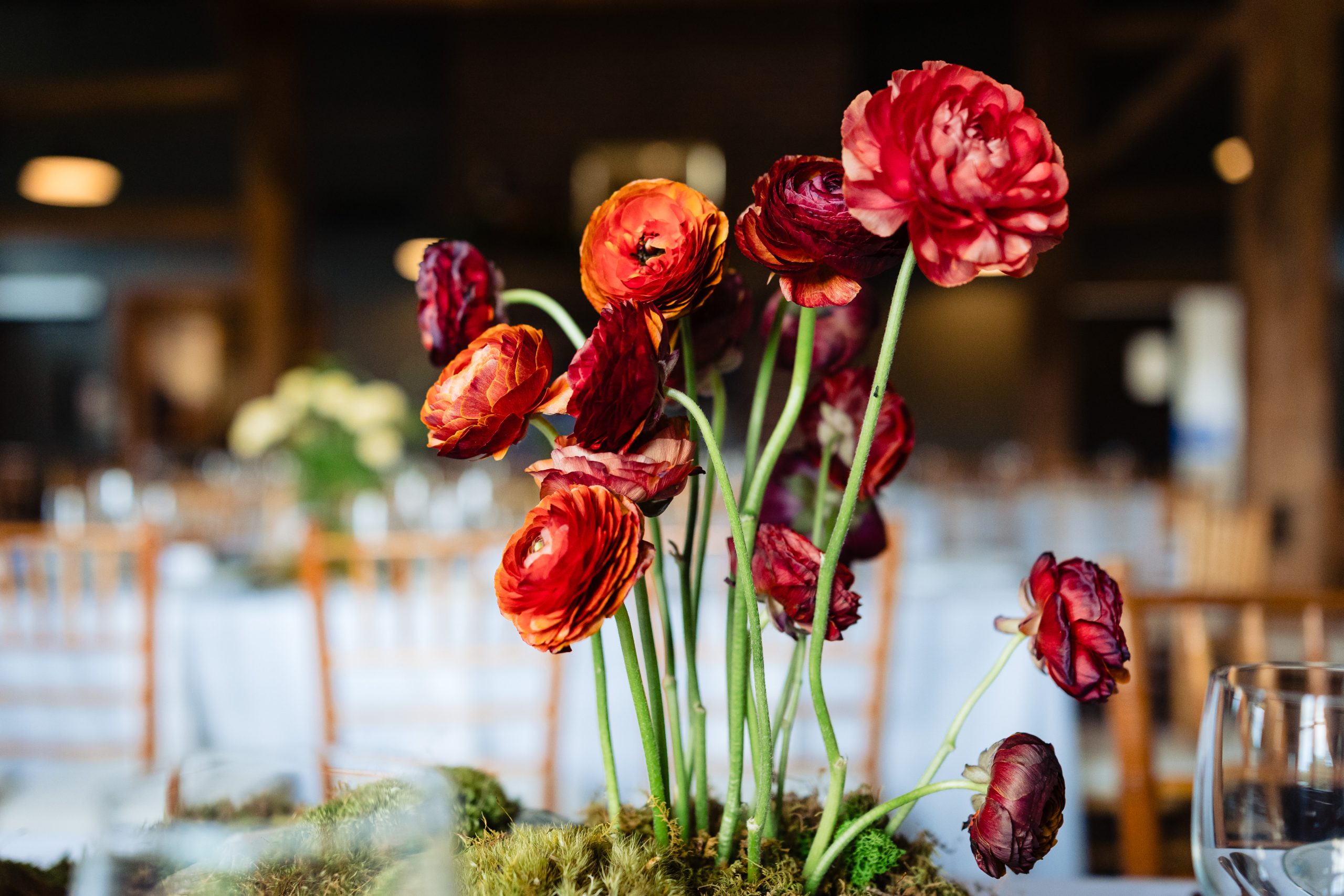 In Her Own Words: Florist Laura Giles on Creativity, Connection & the farm